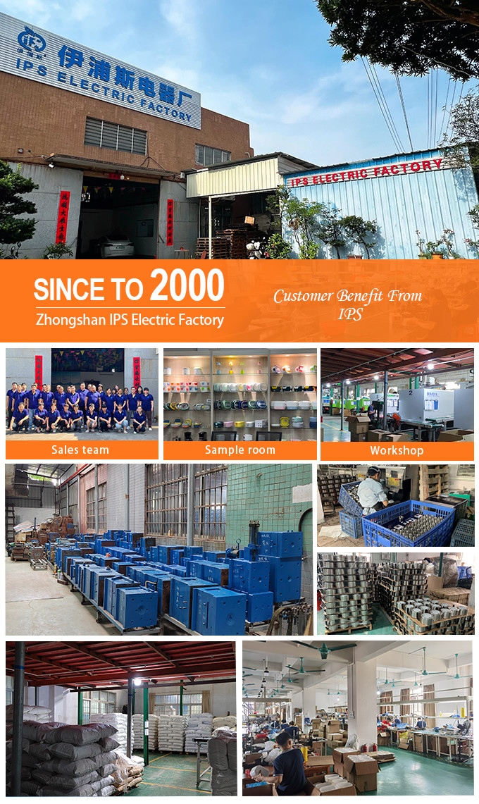 China Zhongshan IPS Electric Factory factory production line